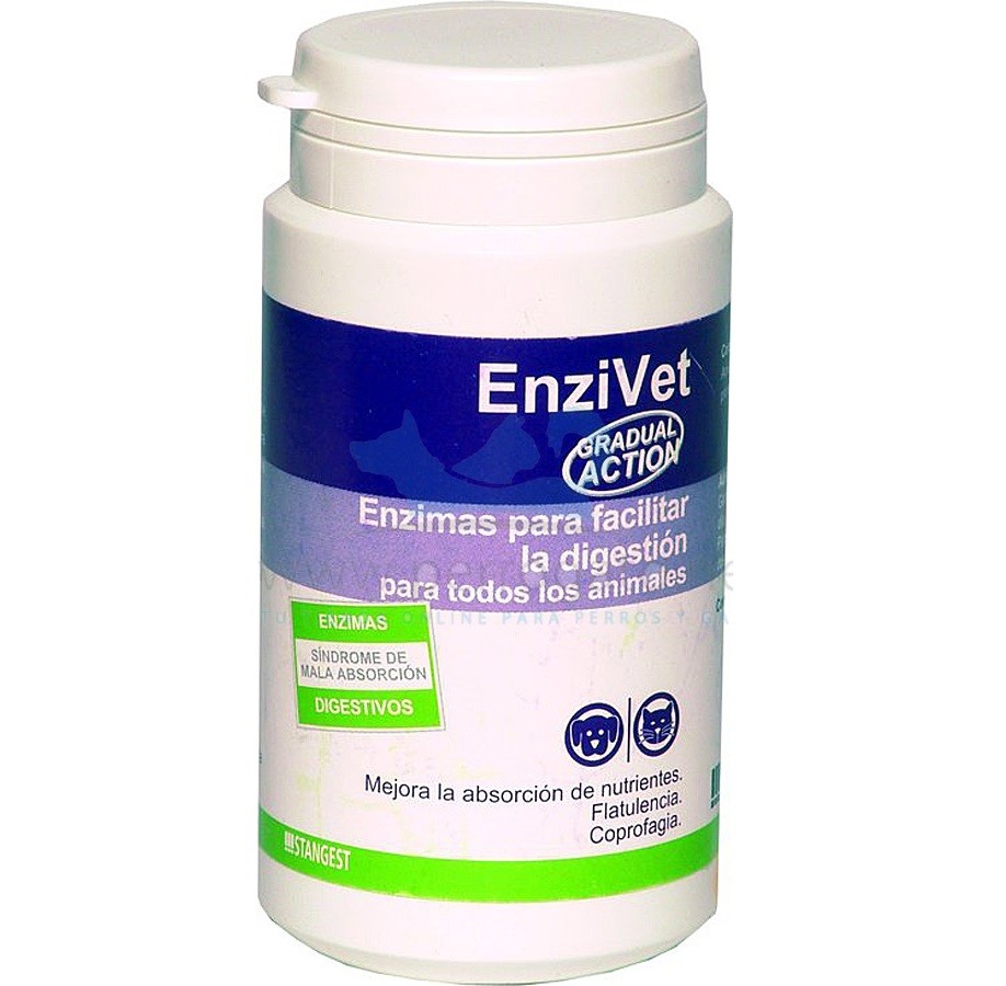 Son Las Enzimas Digestivas Buenas Para Los Perros Con Pancreatitis