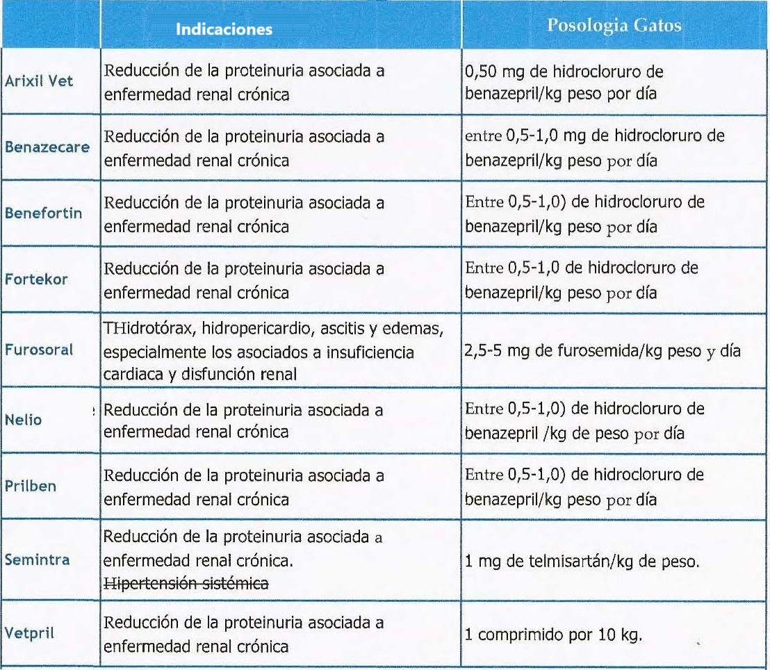 ENFERMEDAD RENAL CONICA EN GATOS - TRATAMIENTOS