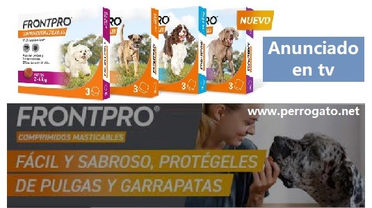 Tienda online de perros y gatos. Pienso para perros y pienso para gatos ...