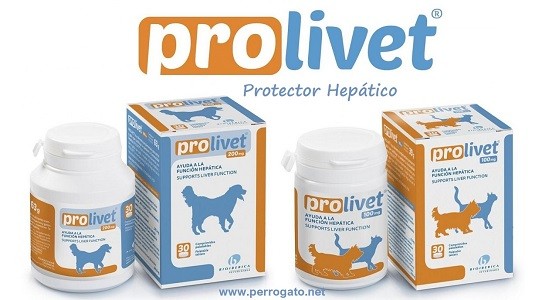 Tienda online de perros y gatos. Pienso para perros y pienso para gatos ...