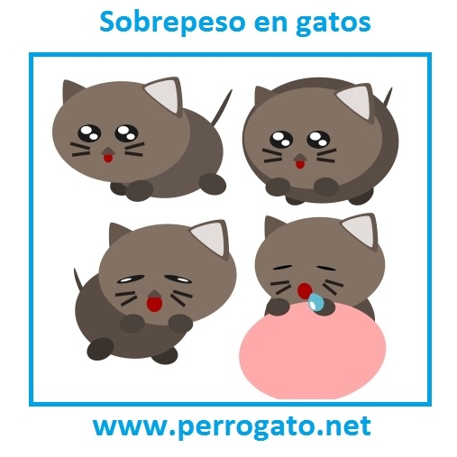 SURGIBOND 2.5 ml Adhesivo tisutar para heridas limpias